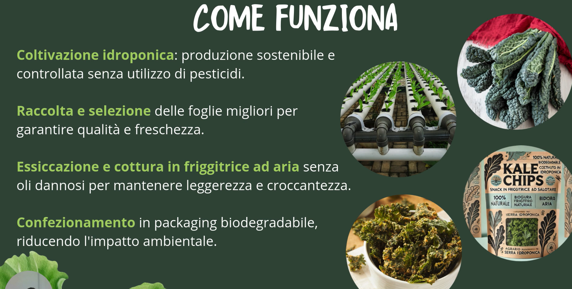 Startupper tra i banchi di scuola 2024-2025 – Hack to School ...